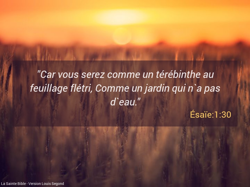 Le devenir d’un peuple rebelle. – AJCEM